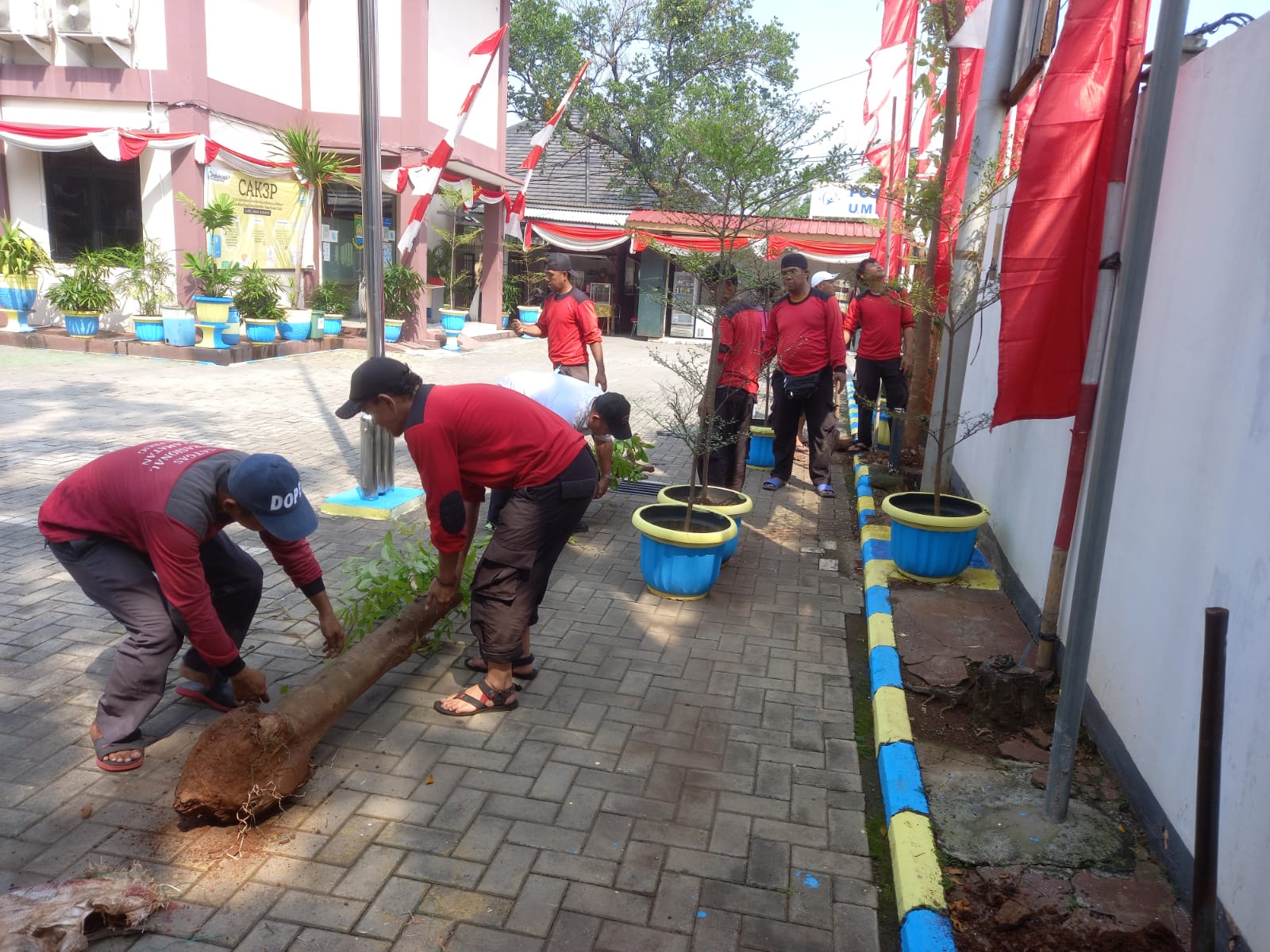 KEC CILEDUG | Guna Penghijauan, Kecamatan Ciledug Terima Sejumlah Pohon ...